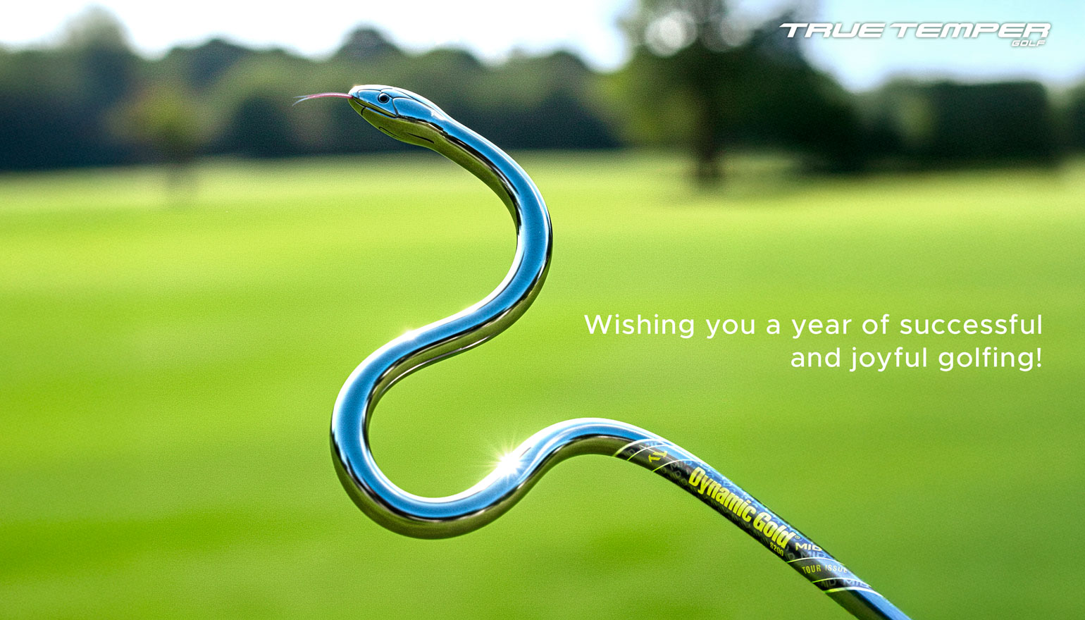 snake-mid-pc - トゥルーテンパースポーツインクジャパン